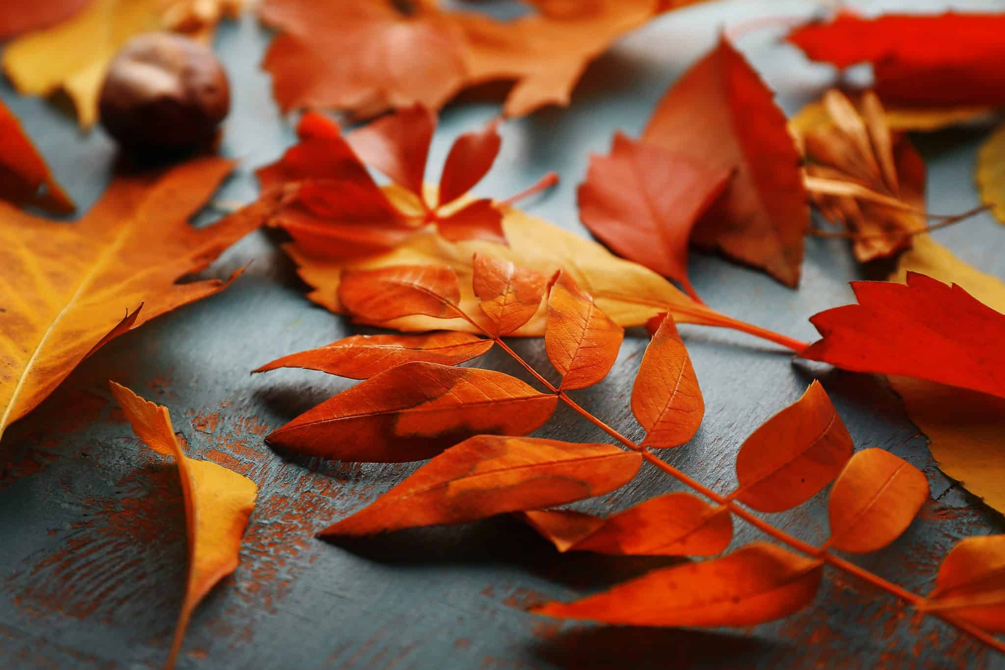 Color Contrast in Photography: Tips and Ideas – Knowledge Hub